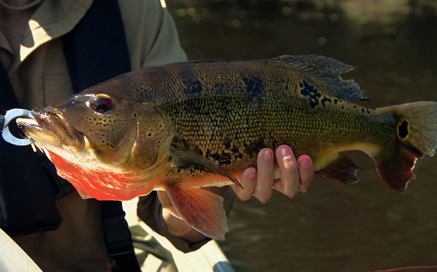 The Big Fish Off - The Fishing and Hunting Channel