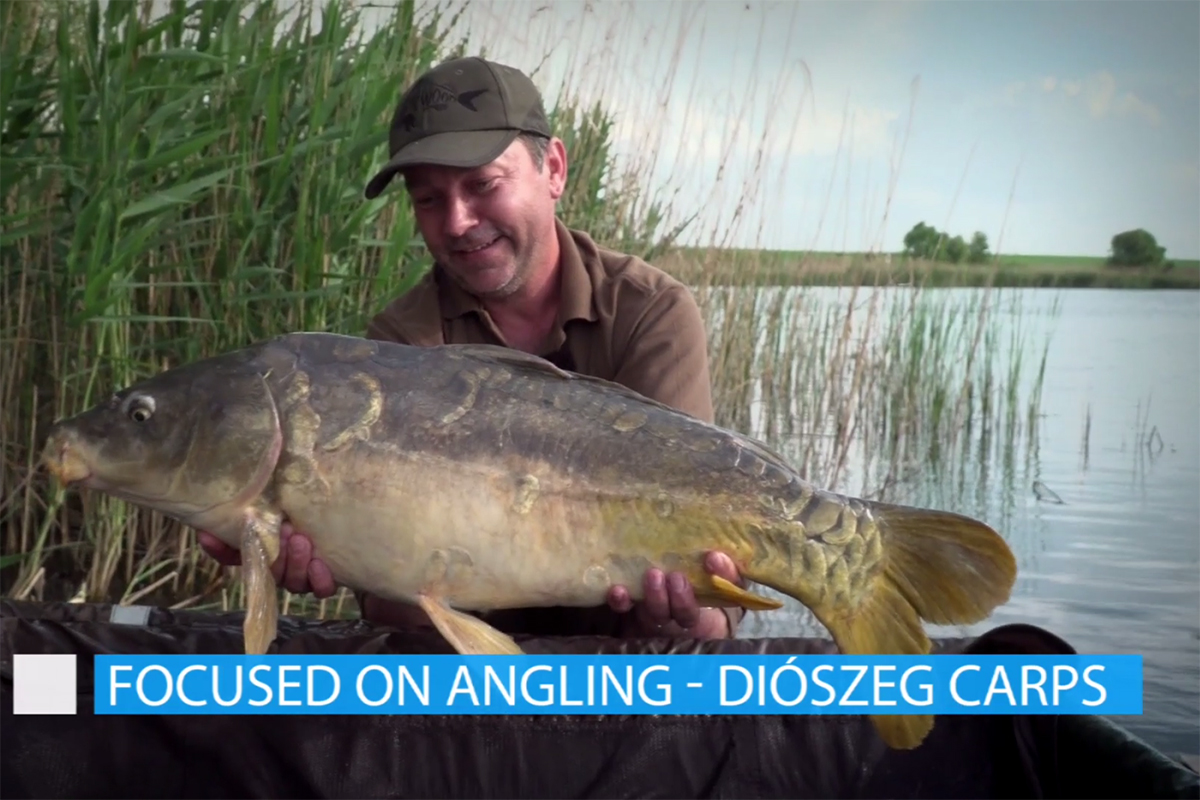 Fókuszban a horgászat – Diószegi pontyok - The Fishing and Hunting Channel