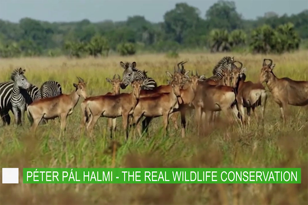 Halmi Péter Pál – Az igazi vadvédelem - The Fishing and Hunting Channel