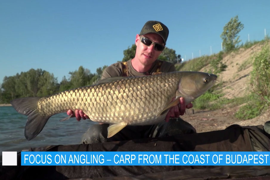 Fókuszban a horgászat – Pontyok Budapest tengerpartjáról - The Fishing ...