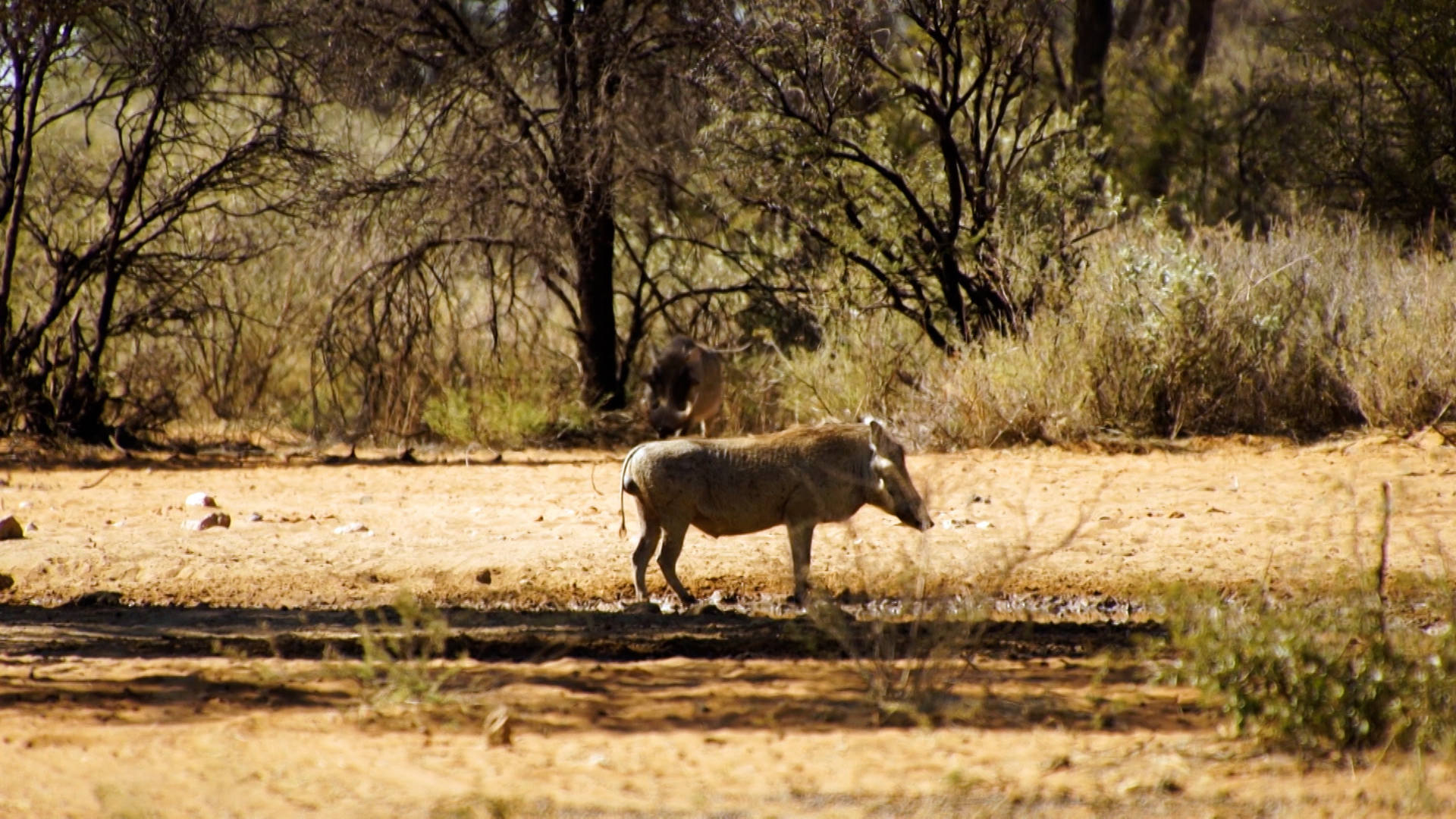 Hajba Balázs - Először Afrika ege alatt 2. rész - The Fishing and ...