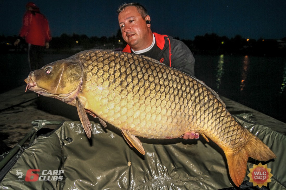 6 CARP CLUBS - Miercuri dimineata