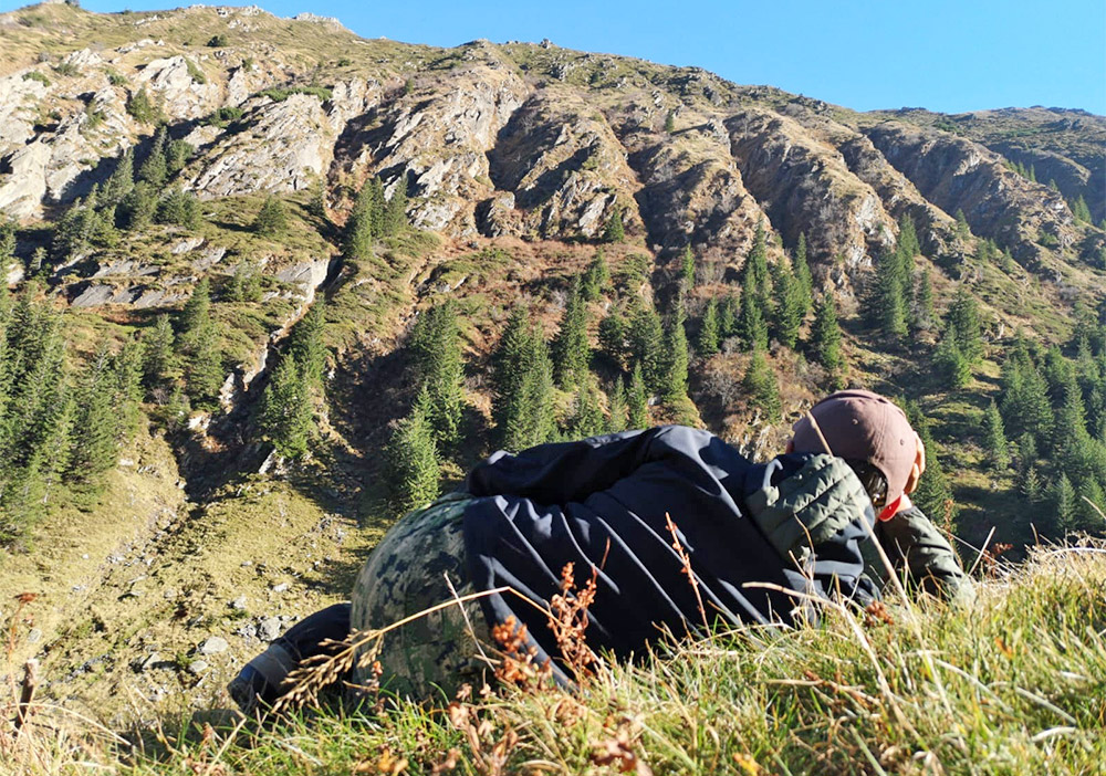 Management VS Petitii