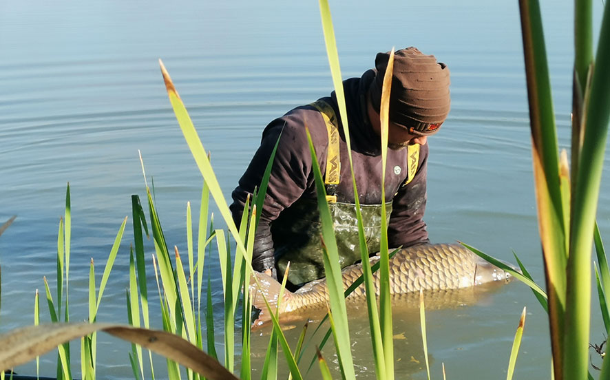 Kaprie divadlo - The Fishing and Hunting Channel